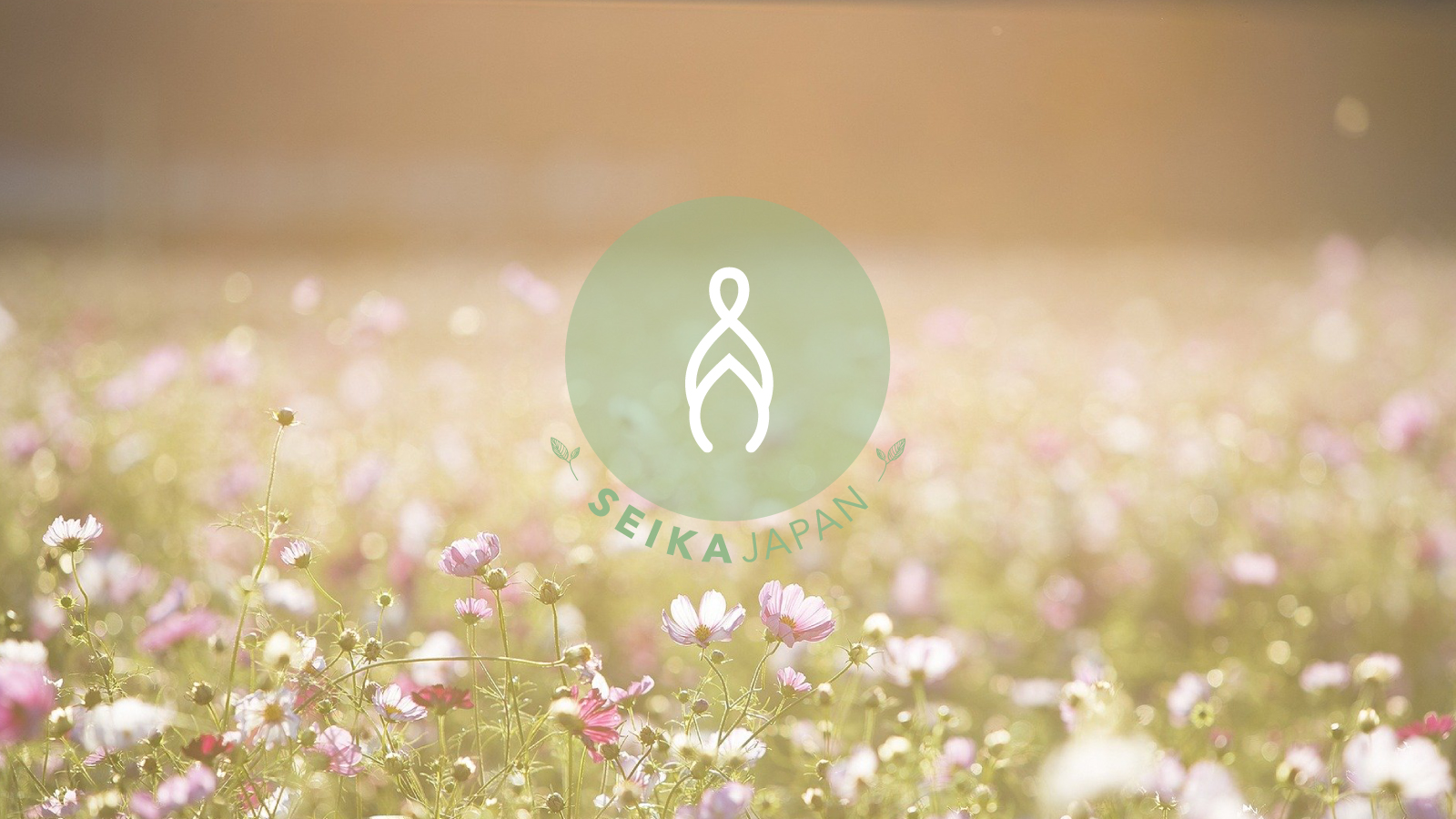 株式会社セイカジャパン | セイカジャパンが届ける喜びと笑顔